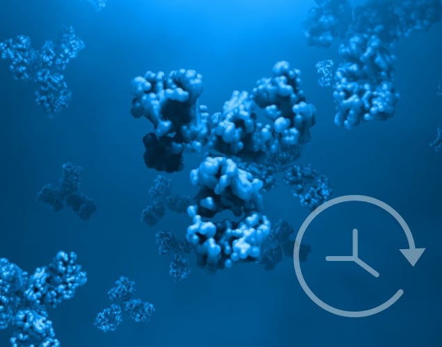 Target Analysis & Immunization | IPA